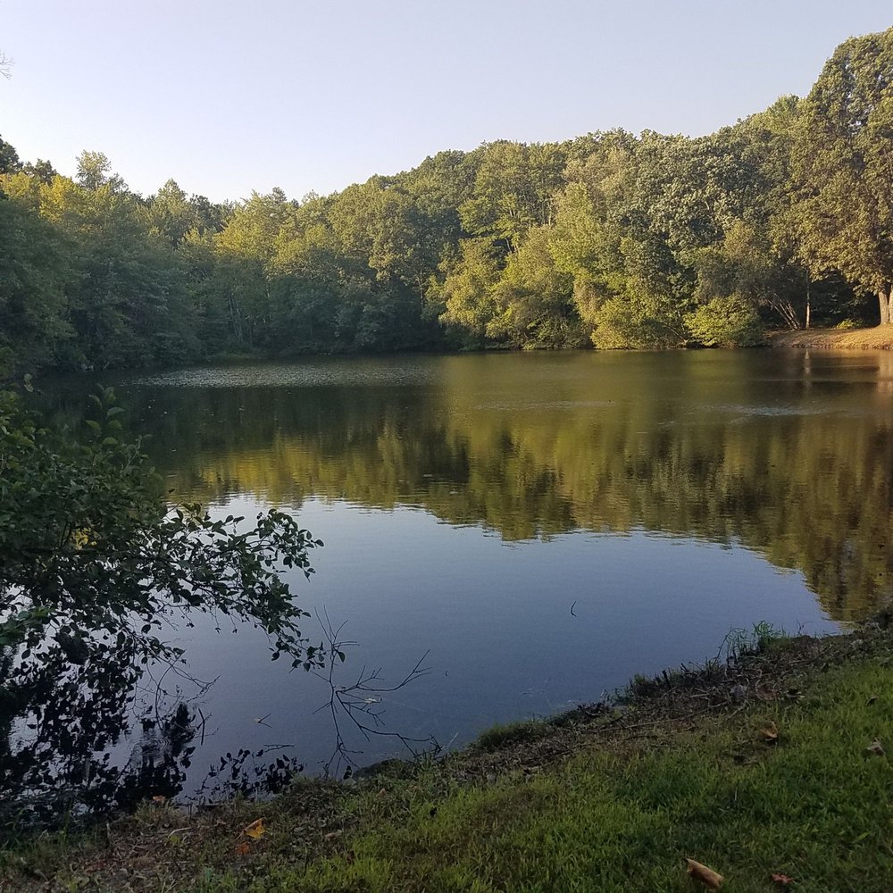 COUNTRYSIDE PARK - Updated May 2024 - 51 Photos - 335 Huckleberry Hill ...