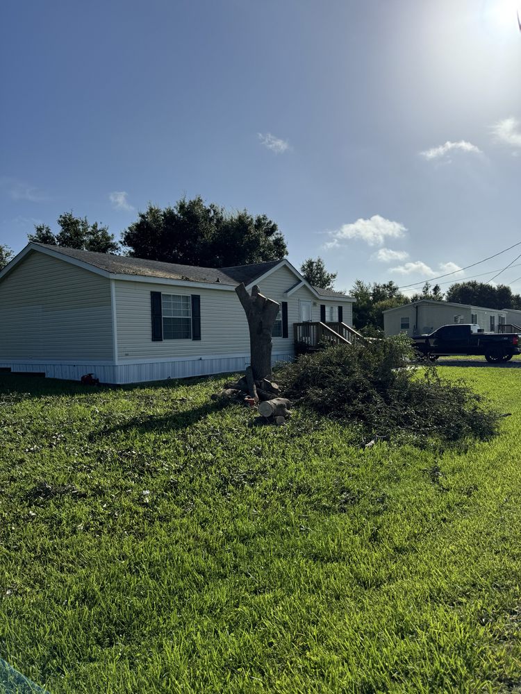 ALL PRO TREE WORK - Updated August 2025 - 805 N Arcadia Ave, Southeast ...