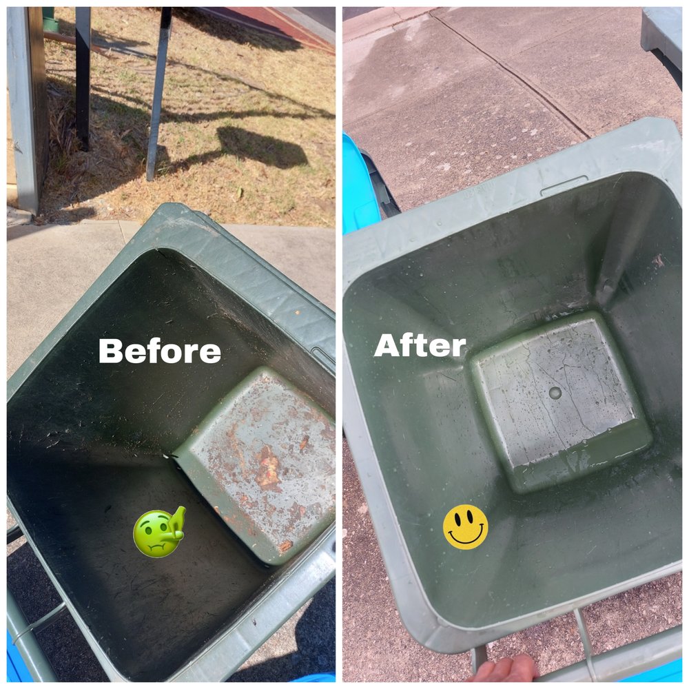 BETTER CALL SOL BIN CLEAN - Updated April 2024 - Request a Quote - 11 ...