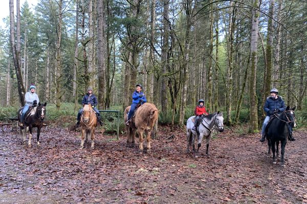 EQUINE ESCAPES - Updated January 2025 - 23 Photos & 71 Reviews (4.2 ⭐️ ...