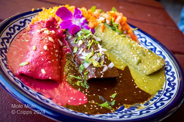 MOLE MOLE - Updated December 2025 - 166 Photos & 189 Reviews - 2231 NE ...