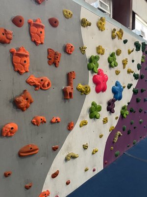 ON THE EDGE ROCK CLIMBING GYM - Updated October 2025 - 44 Photos & 35 ...