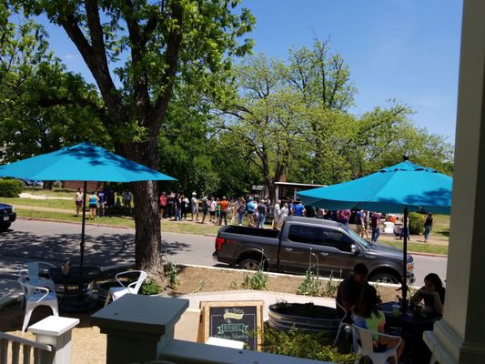 RED POPPY FESTIVAL - Updated May 2024 - 16 Photos - 103 W 7th St ...