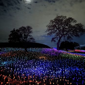 SENSORIO - Updated May 2024 - 2411 Photos & 512 Reviews - 4380 Hwy 46 E ...