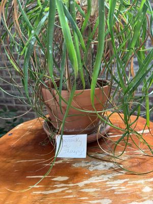 FLORA JEAN’S - Updated January 2026 - 69 Photos & 44 Reviews - 433 E ...