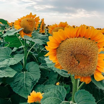 EXPLORATION ACRES - Updated October 2025 - 83 Photos & 34 Reviews ...