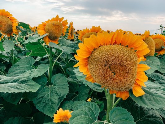 EXPLORATION ACRES - Updated August 2025 - 83 Photos & 34 Reviews - 6042 ...