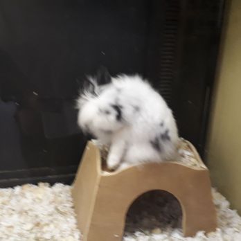 HIGHLAND SAM J. RACADIO LIBRARY & ENVIRONMENTAL LEARNING CENTER ...