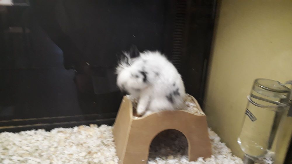 HIGHLAND SAM J. RACADIO LIBRARY & ENVIRONMENTAL LEARNING CENTER - 14 ...