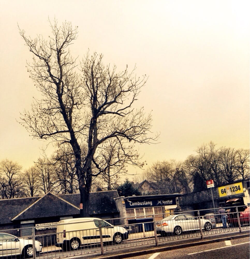 CAMBUSLANG STATION - Updated June 2024 - Main Street, Glasgow, United ...