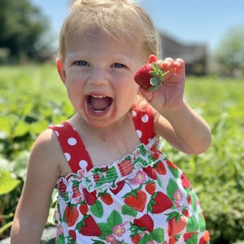 ATKINSON FARM - Updated May 2025 - 159 Photos & 67 Reviews - 3217 ...