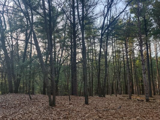 PROVIN TRAILS - Updated November 2025 - 29 Photos & 12 Reviews - 2900 4 ...