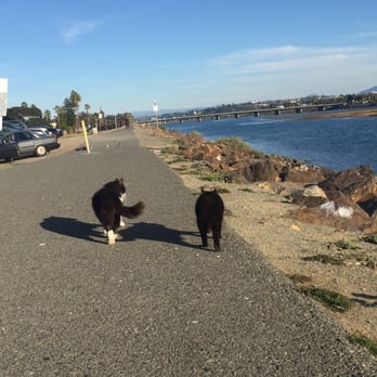 CAT JETTY - Updated June 2025 - 157 Photos & 14 Reviews - 2510 Quivira ...