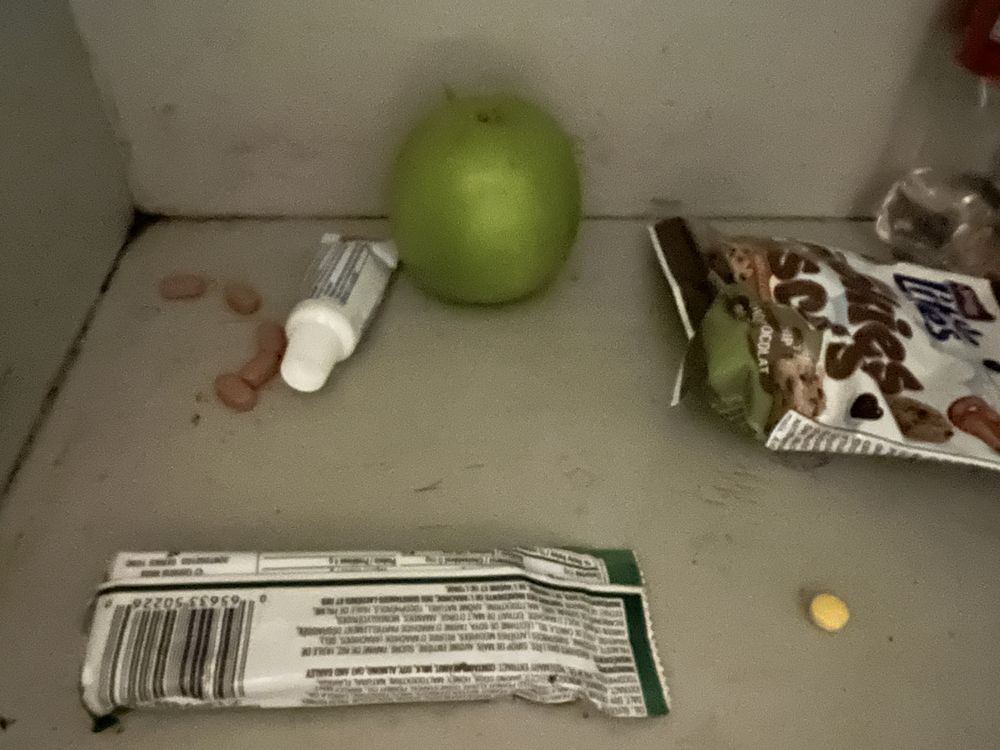 SAUNA OASIS - Updated January 2026 - 14 Reviews - 1390 Rue Sainte ...