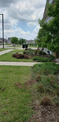 SOUTHERN BOTANICAL LANDSCAPING - Updated April 2026 - 35 Photos & 24 ...