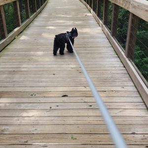 OCMULGEE WMA SHOOTING RANGE - Updated June 2025 - Upper River Rd ...