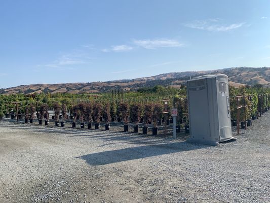 DEVIL MOUNTAIN WHOLESALE NURSERY - MORGAN HILL - Updated July 2025 - 28 ...