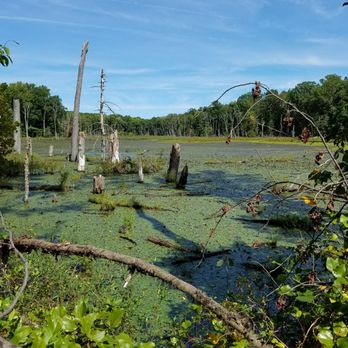 NORTH POINT STATE PARK - Updated December 2025 - 128 Photos & 31 ...