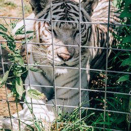 THE BEST 10 Animal Shelters in FORT WAYNE, IN - Humane Fort Wayne ...