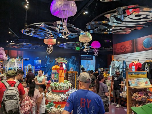 SEA LIFE - Updated December 2025 - 1675 Photos & 377 Reviews - 8449 ...