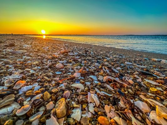 CONIMICUT POINT PARK - Updated January 2026 - 81 Photos & 23 Reviews ...