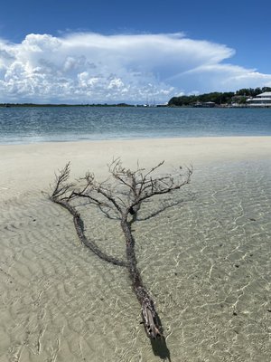 PONCE INLET WATERSPORTS - 110 Photos & 60 Reviews - 4958 S Peninsula Dr ...