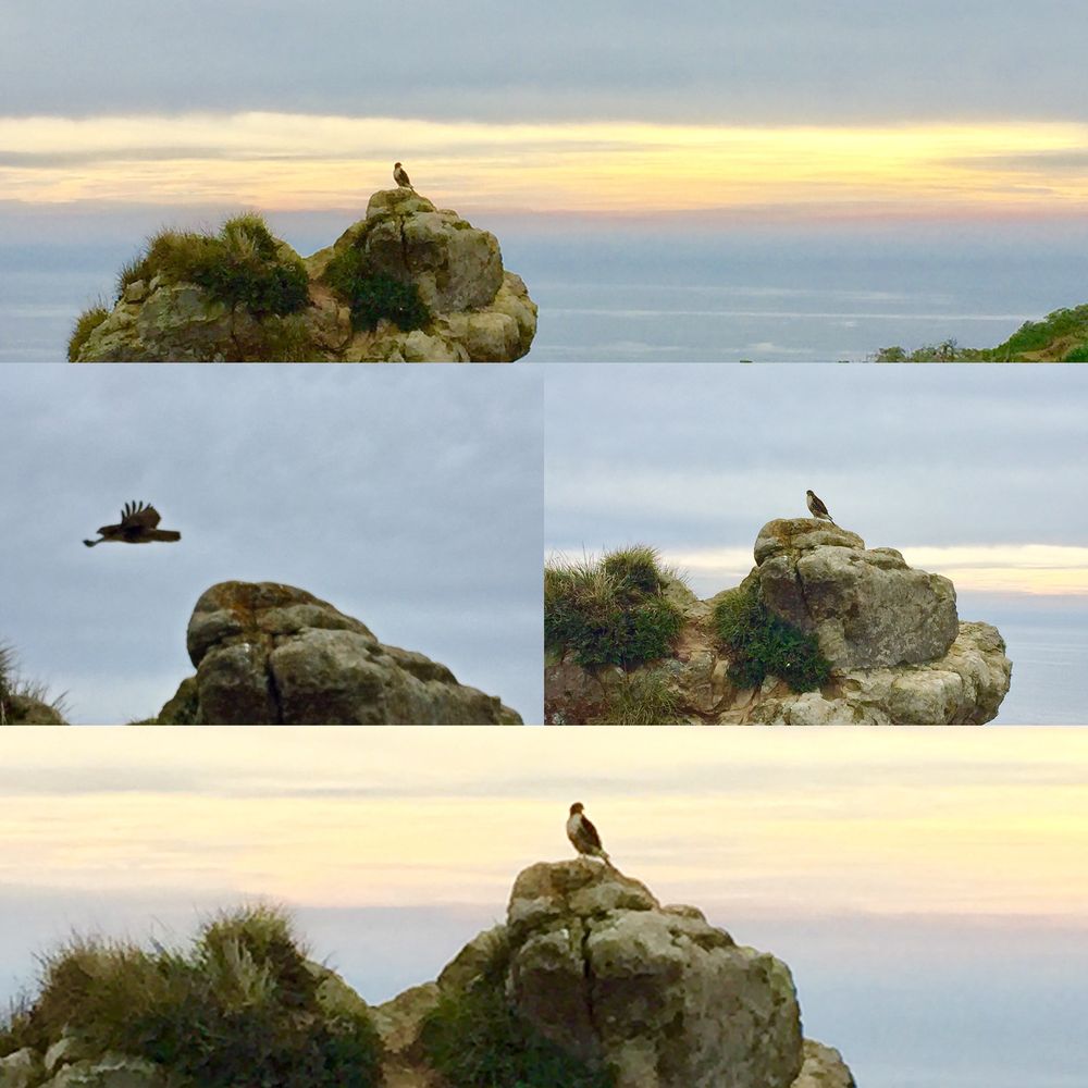 POINT REYES NATIONAL SEASHORE - LIGHTHOUSE - 1187 Photos & 241 Reviews ...