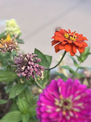 SACRAMENTO PUBLIC LIBRARY - NORTH NATOMAS - Updated August 2025 - 64 ...