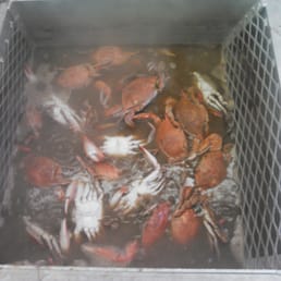 THE CRAWFISH PLACE - Updated July 2024 - 57 Photos & 62 Reviews - 5809 ...