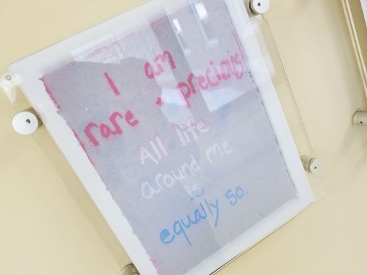 EDWARD HINES JR VA HOSPITAL - Updated July 2025 - 228 Photos & 56 ...