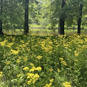 MISTHAVEN RESORT - Updated September 2025 - 26 Photos - 4252 W 200 N ...