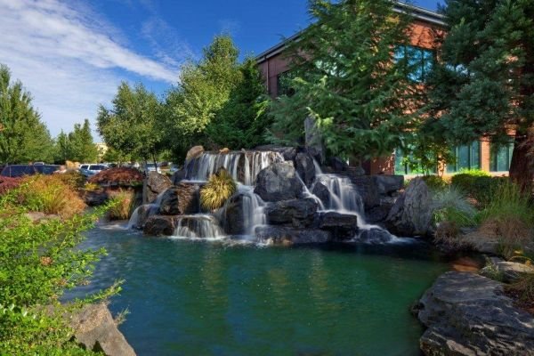 LANDSCAPE SOLUTIONS - Updated July 2025 - 59 Photos & 19 Reviews - 5150 ...