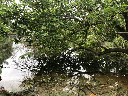 ANNIE BECK PARK - Updated October 2024 - 52 Photos - N Victoria Park Rd ...