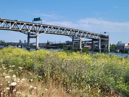 MARQUAM BRIDGE - Updated December 2025 - 72 Photos & 18 Reviews ...