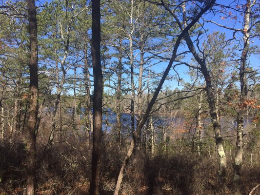 SEARS BELLOWS COUNTY PARK - Updated October 2025 - 63 Bellows Pond Rd ...