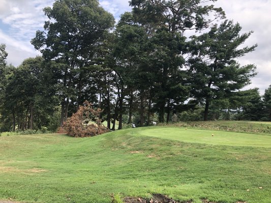 THE LYMAN ORCHARDS GOLF CLUB - Updated August 2024 - 51 Photos & 31 ...