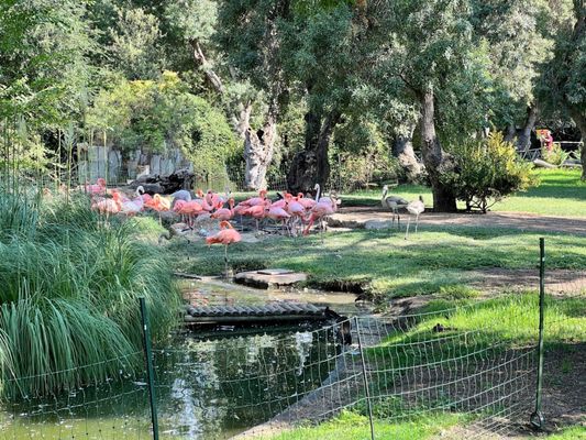 ZOO AQUARIUM DE MADRID - Updated October 2025 - 120 Photos & 55 Reviews ...