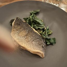 ASTA - Updated November 2025 - 234 Reviews & 402 Photos - 47 ...