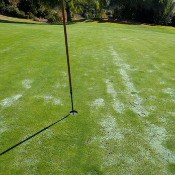 THE LINKS AT LAKEHOUSE - Updated November 2025 - 90 Photos - 134 ...