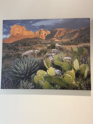 ORTHOARIZONA - Updated December 2025 - 27 Photos & 68 Reviews - 8405 N ...