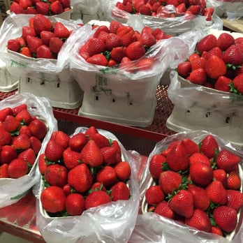 MORRIS FARM MARKET - Updated June 2024 - 301 Photos & 104 Reviews ...