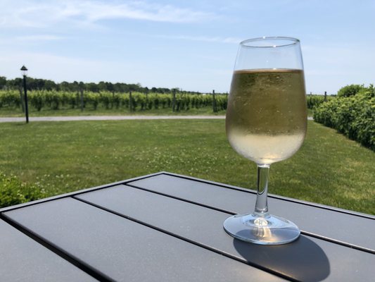 RAPHAEL VINEYARD AND WINERY - 344 Photos & 156 Reviews - Wine Tasting ...