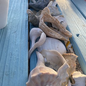 THE SHARK SHACK - Updated May 2024 - 253 Photos & 267 Reviews - 100 S ...