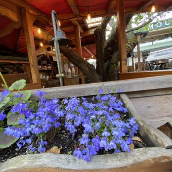 THE TREE-HOUSE CAFE - Updated December 2025 - 86 Photos & 116 Reviews ...