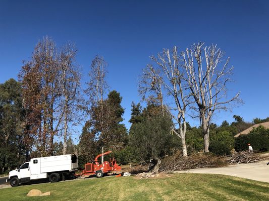 RAMIREZ LANDSCAPE AND TREE SERVICE - Updated December 2025 - 25 Photos & 10 Reviews - 2633 S ...