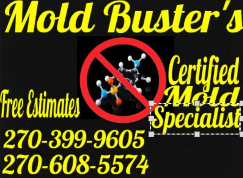 MOLD BUSTER’S - Beechmont, KY - Yelp