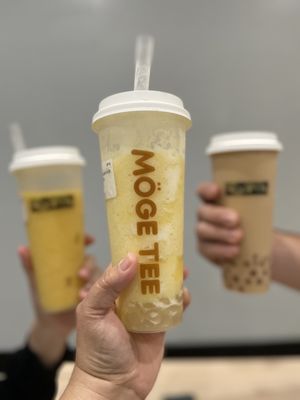 MOGE TEE - TAMPA - Updated December 2024 - 192 Photos & 81 Reviews ...