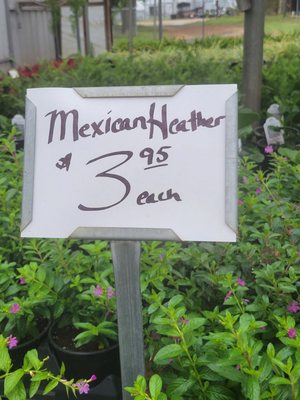 BOBO’S NURSERY & FLORIST - Updated May 2025 - 10 Photos & 10 Reviews ...