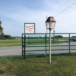 MARTIN’S CUSTOM BUTCHERING - Updated April 2025 - 10 Reviews - 405 ...