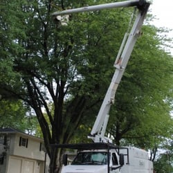 OMAHA TREE SERVICE - 20 Photos & 11 Reviews - 3606 Mckinley St, Omaha ...